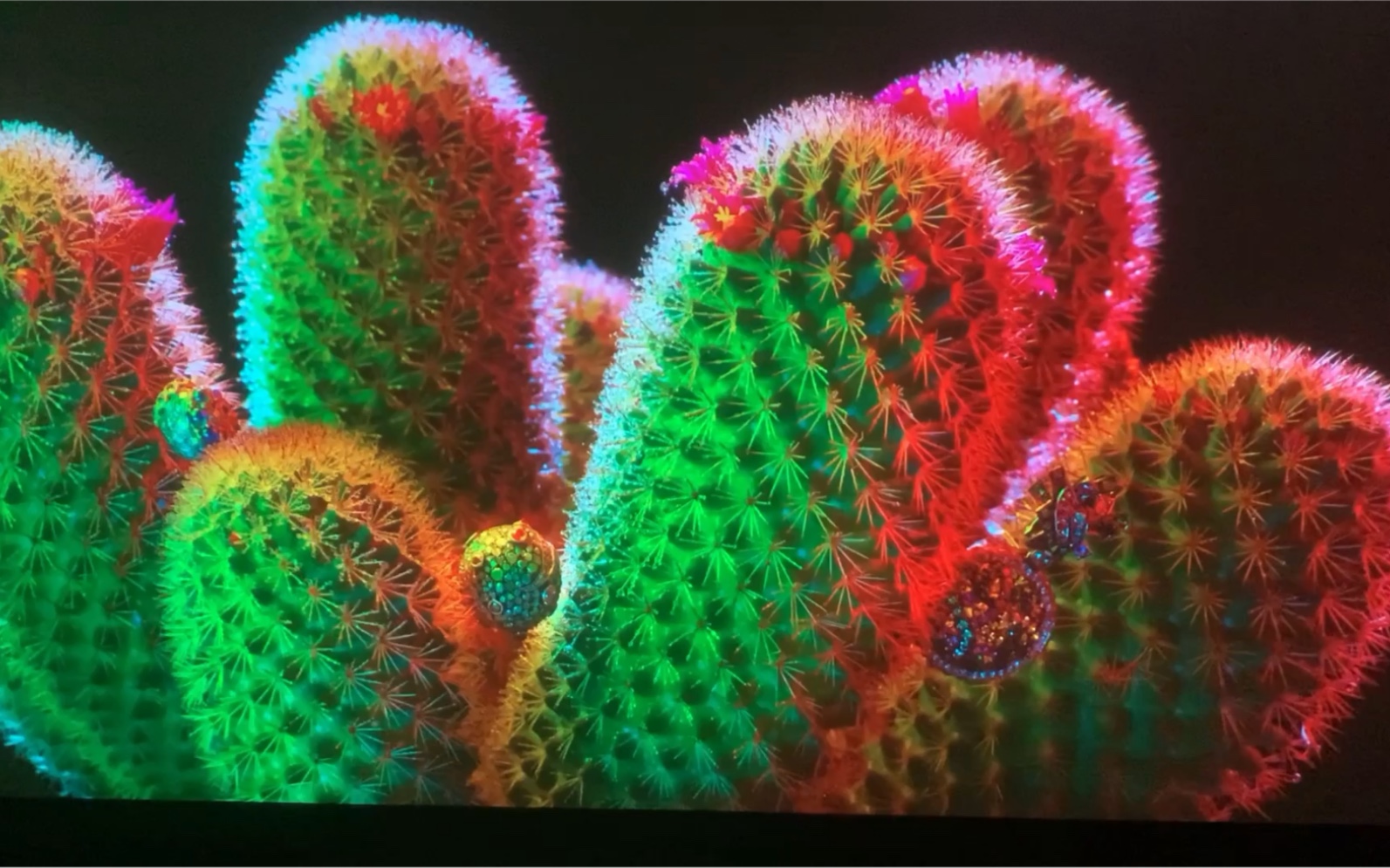 巴可PD F22 VizSim体积重量最小的大芯片投影机实拍效果分享