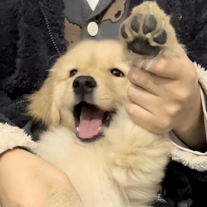 没事多睡觉好了 