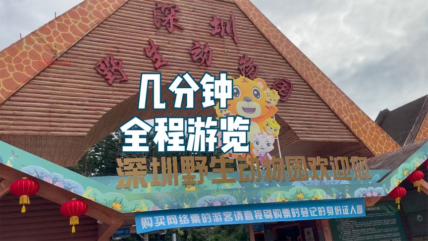 几分钟带你全程游览深圳野生动物园,大年初四,动物园,新年快乐
