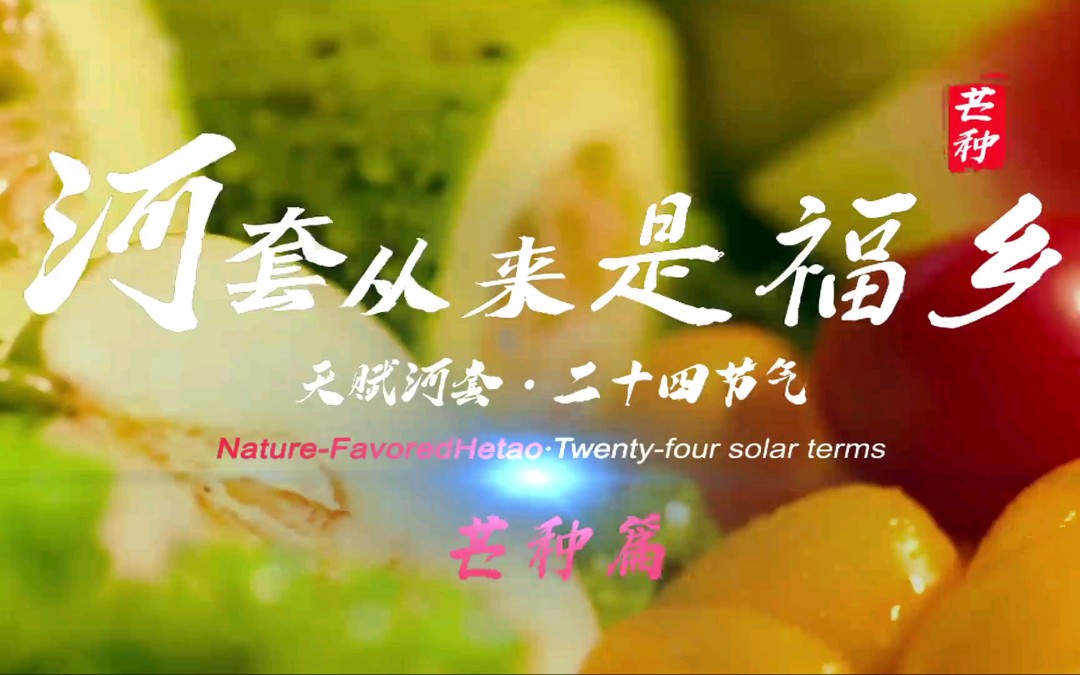 “天赋河套 · 二十四节气”系列纪录片《芒种》发布
