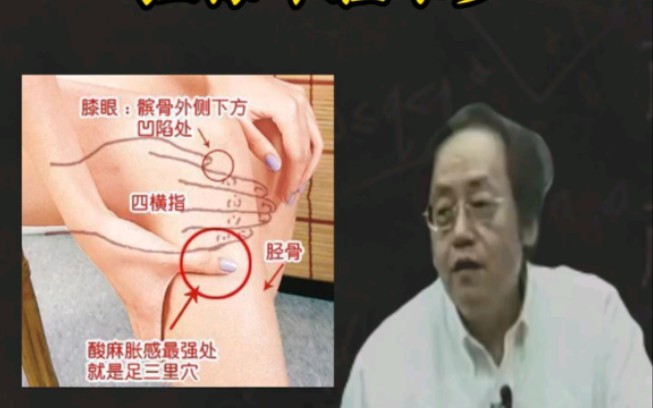 倪海厦教你按摩足三里穴位,女性常按会年轻!