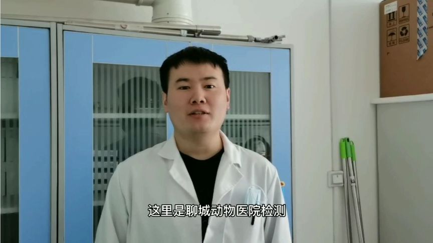 鸡心脏采血,血凝抑制试验