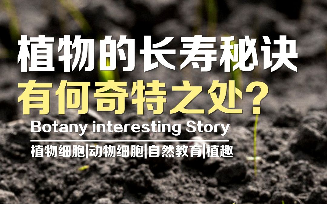 植物为什么可以一直生长?她的长寿秘诀是什么?