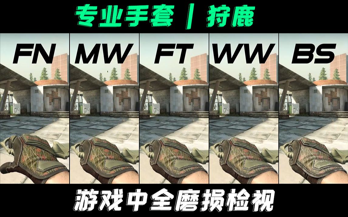 【CSGO】谁说300块钱买不到手套?【专业手套 | 狩鹿】,游戏中4K高...