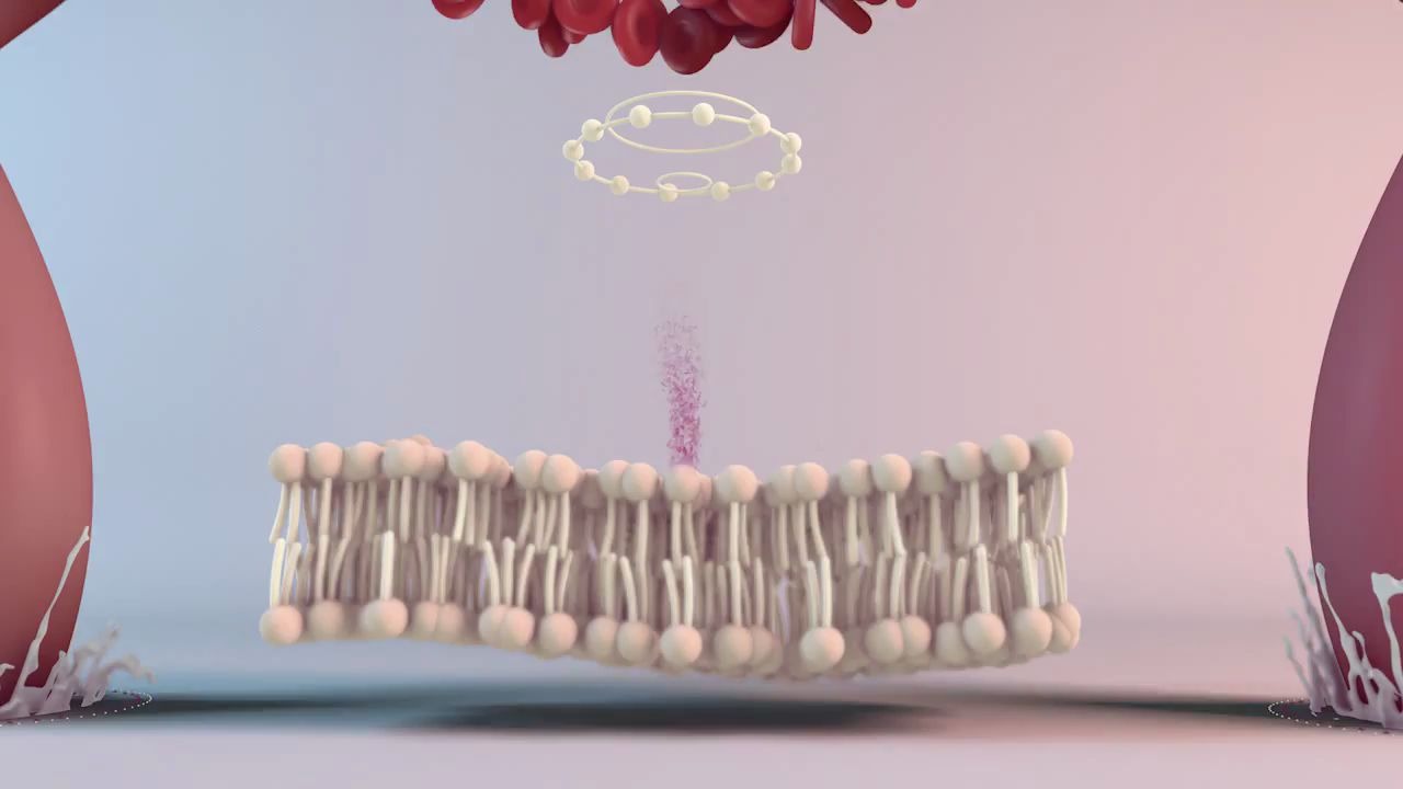 可爱的细胞内小动画