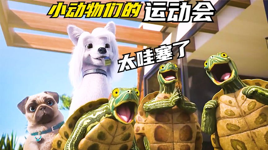 动漫:看看小动物是怎么举办运动会的吧,这简直能笑掉大牙。