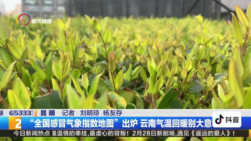 “全国感冒气象指数地图”出炉云南气温回暖别大意