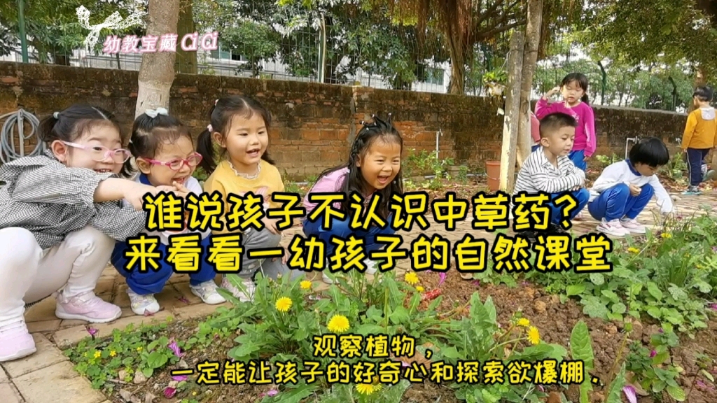 幼儿园户外自然活动:观察植物园里的植物!