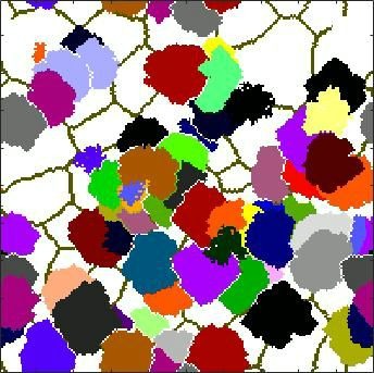 【精品课】动态再结晶的CA法模拟