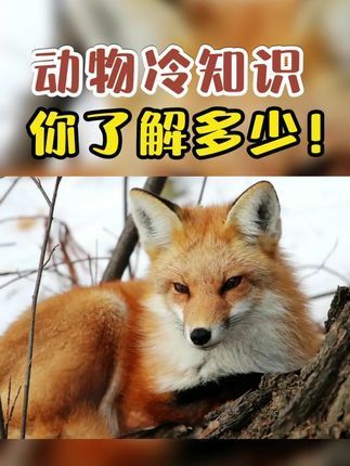动物这些冷知识,你了解多少?