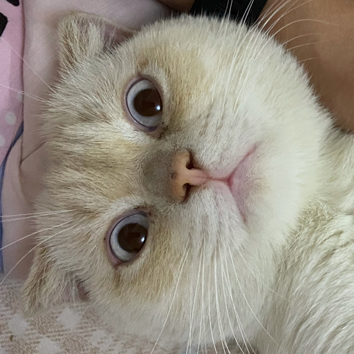 大风吹抄抄抄 