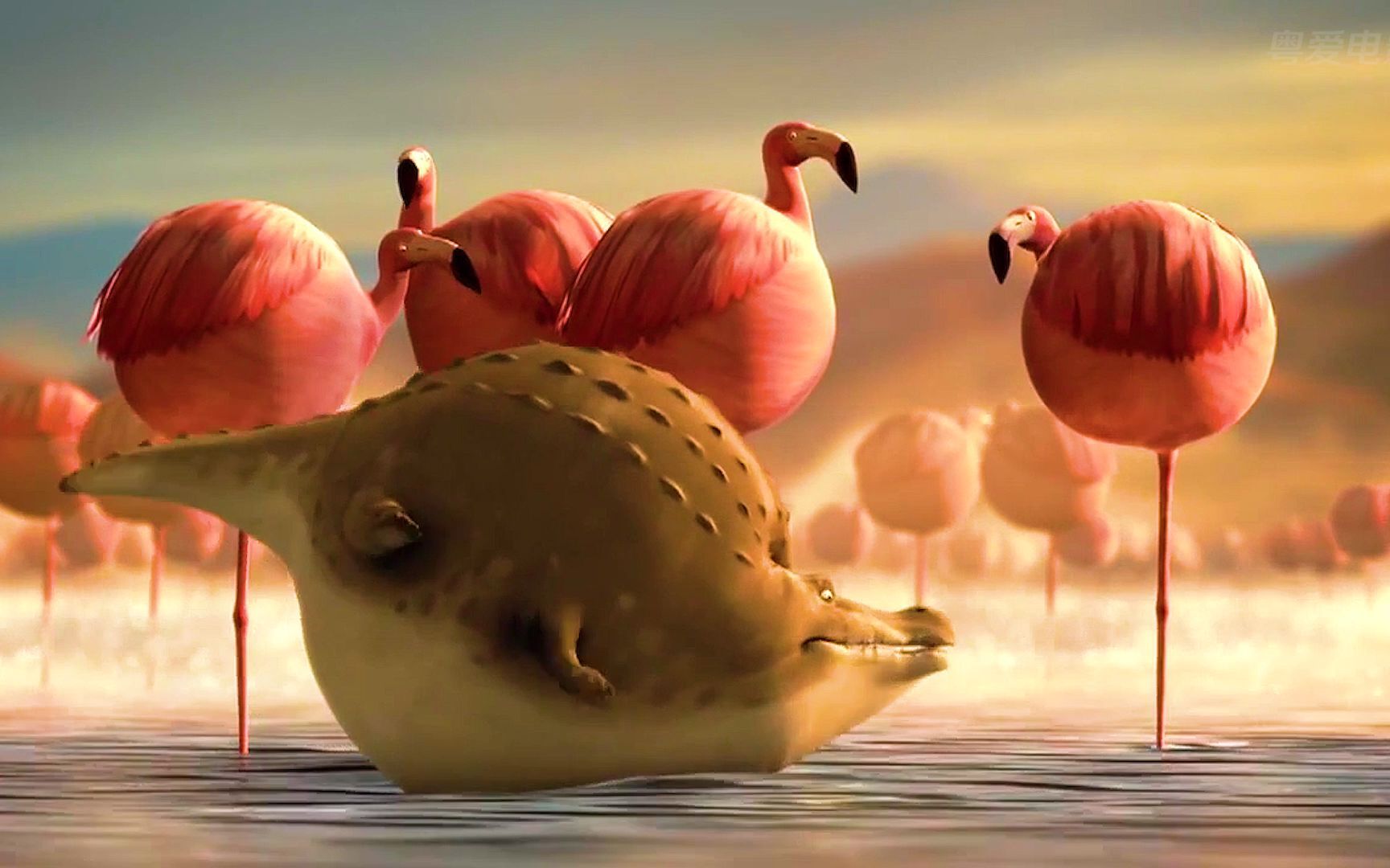 全集《如果动物都是圆的》若不想像它们一样弹来弹去,那就减肥吧