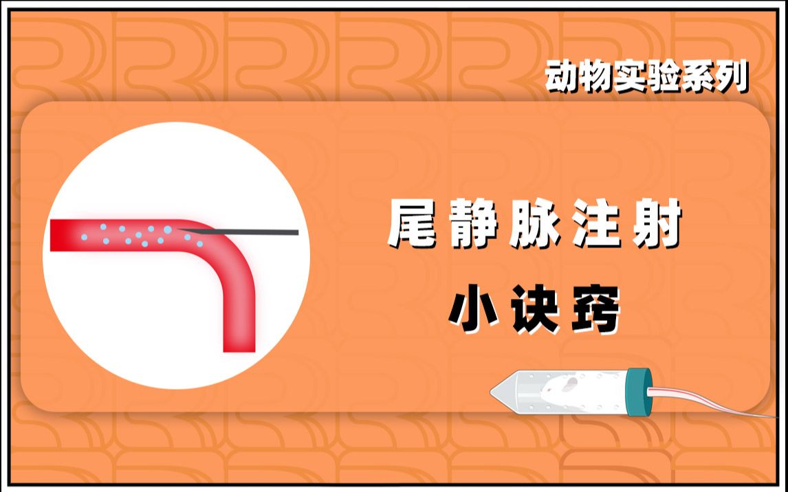 动物实验合集(1):小鼠尾静脉注射