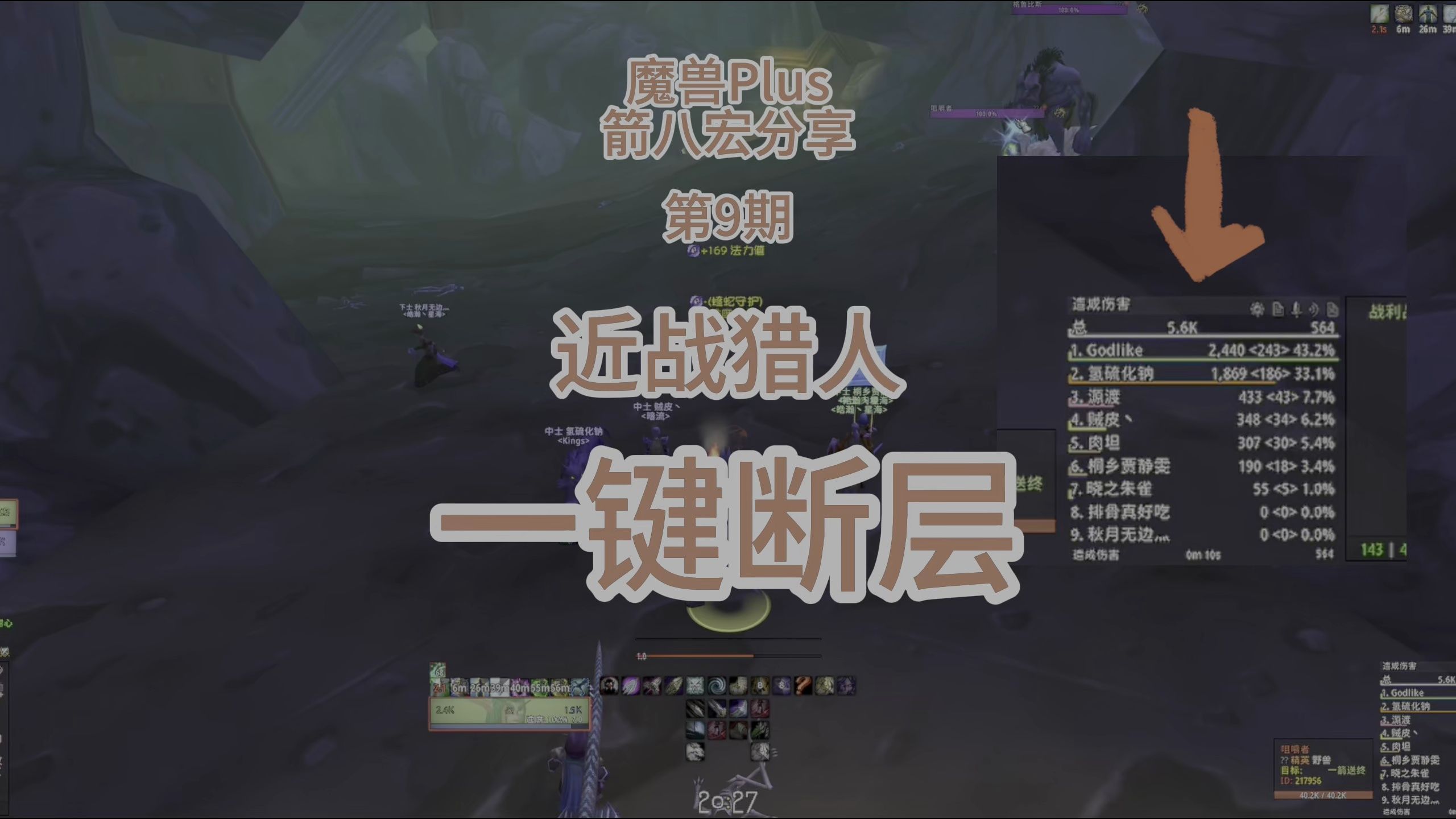40级近战猎人简直BUG没有技术含量一键猛禽侧翼打击宏分享