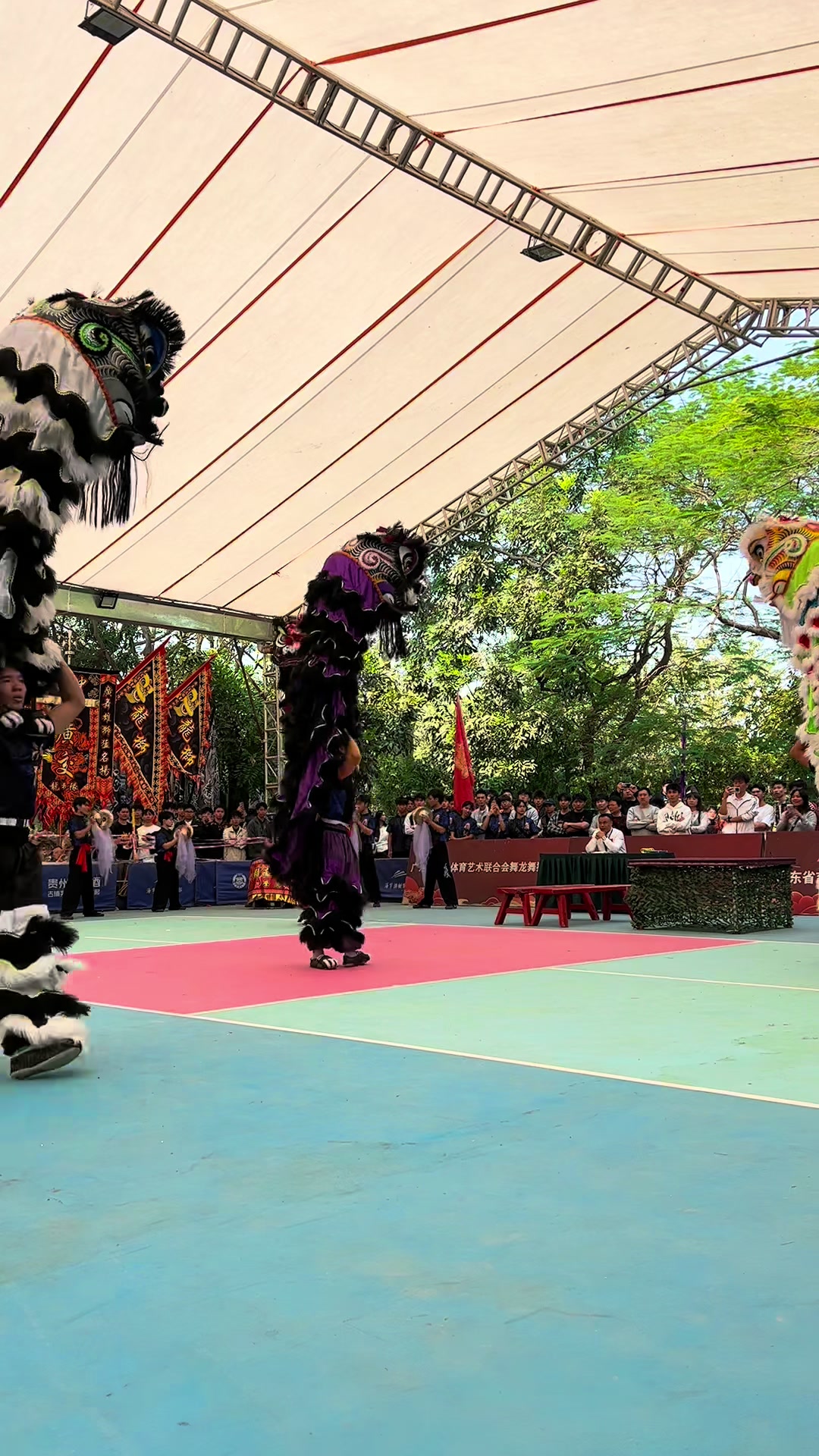 广东省大学生舞龙舞狮锦标赛 #广东省大学生舞龙舞狮锦标赛 #2025年...