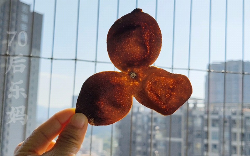 古法制作陈皮,经过三蒸四晒,皮脆味更香,过程详细,一看就会!