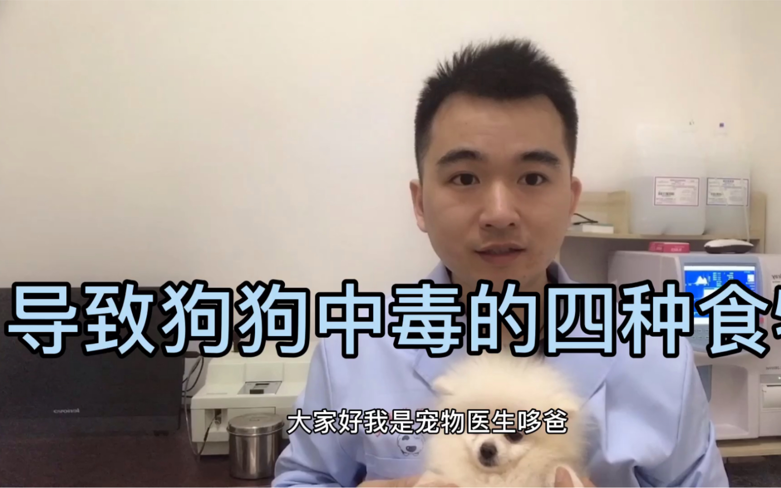 导致狗狗中毒的四种食物,快来一起学习吧