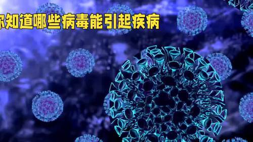 从结构到疾病:RNA病毒如何利用体的弱点