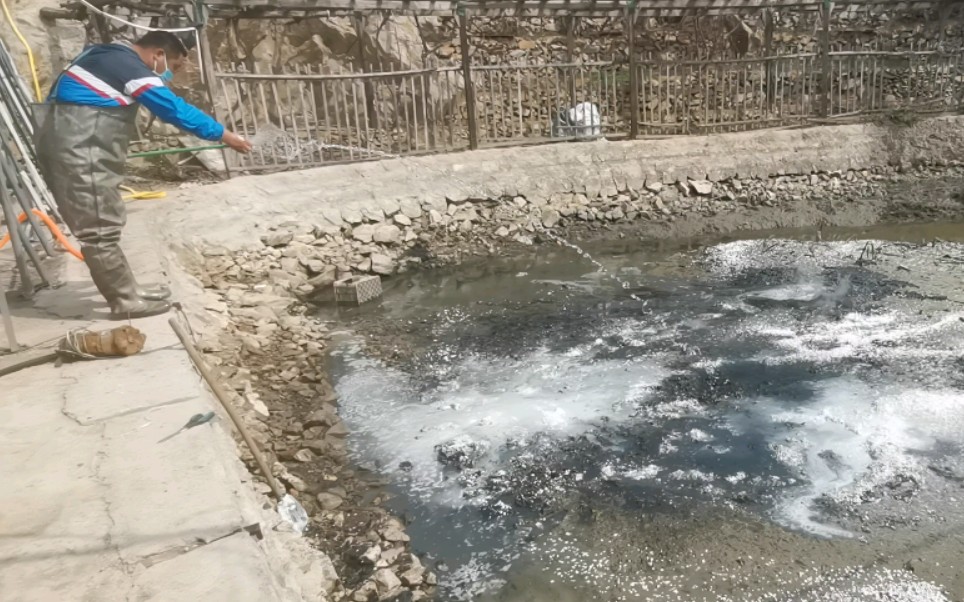 鱼塘生石灰消毒