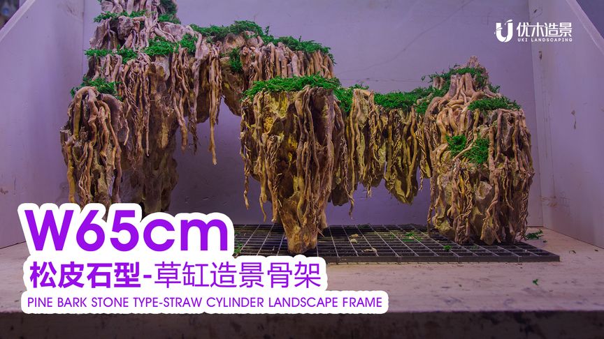 玩家定制的适合养莫斯水草的造景骨架,百分只九十九的松皮石制作