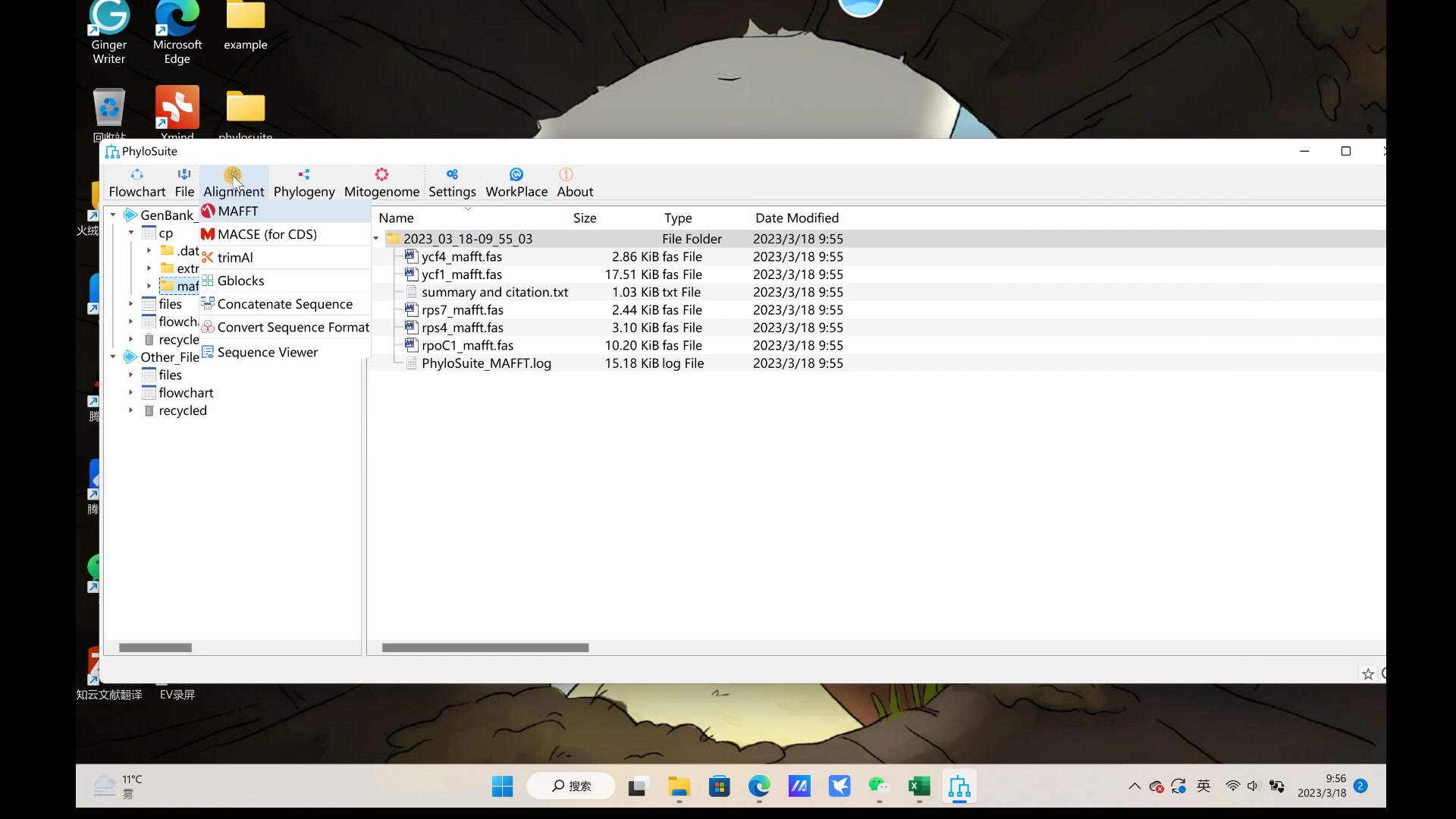 phylsuite多基因联合建树+itol美化系统发育树学习笔记