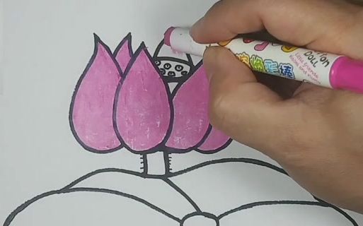 【简笔画】荷花荷叶,每天一幅简笔画(上色)