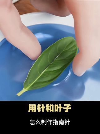 怎么用针和叶子制作指南针