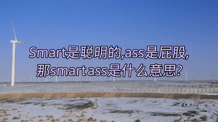 smart是聪明的,ass是屁股,那smart ass是什么意思?