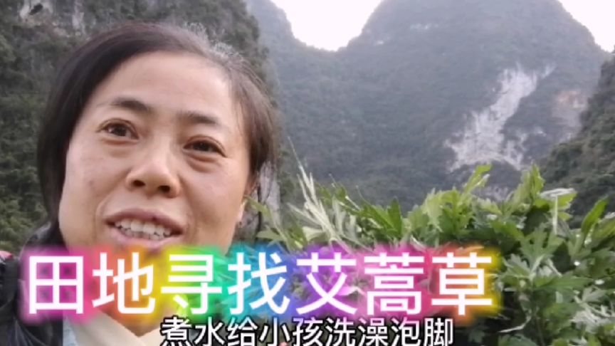 冬天田地寻找艾蒿草,回家煮水洗澡泡脚,去湿气