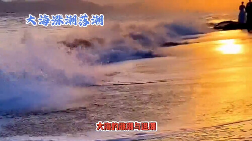 大海为什么会涨潮落潮？退潮后的海水，都去了哪里？