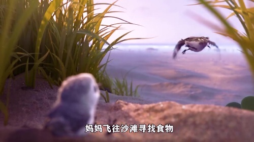 一只小鸟的成长之路,励志动画短片