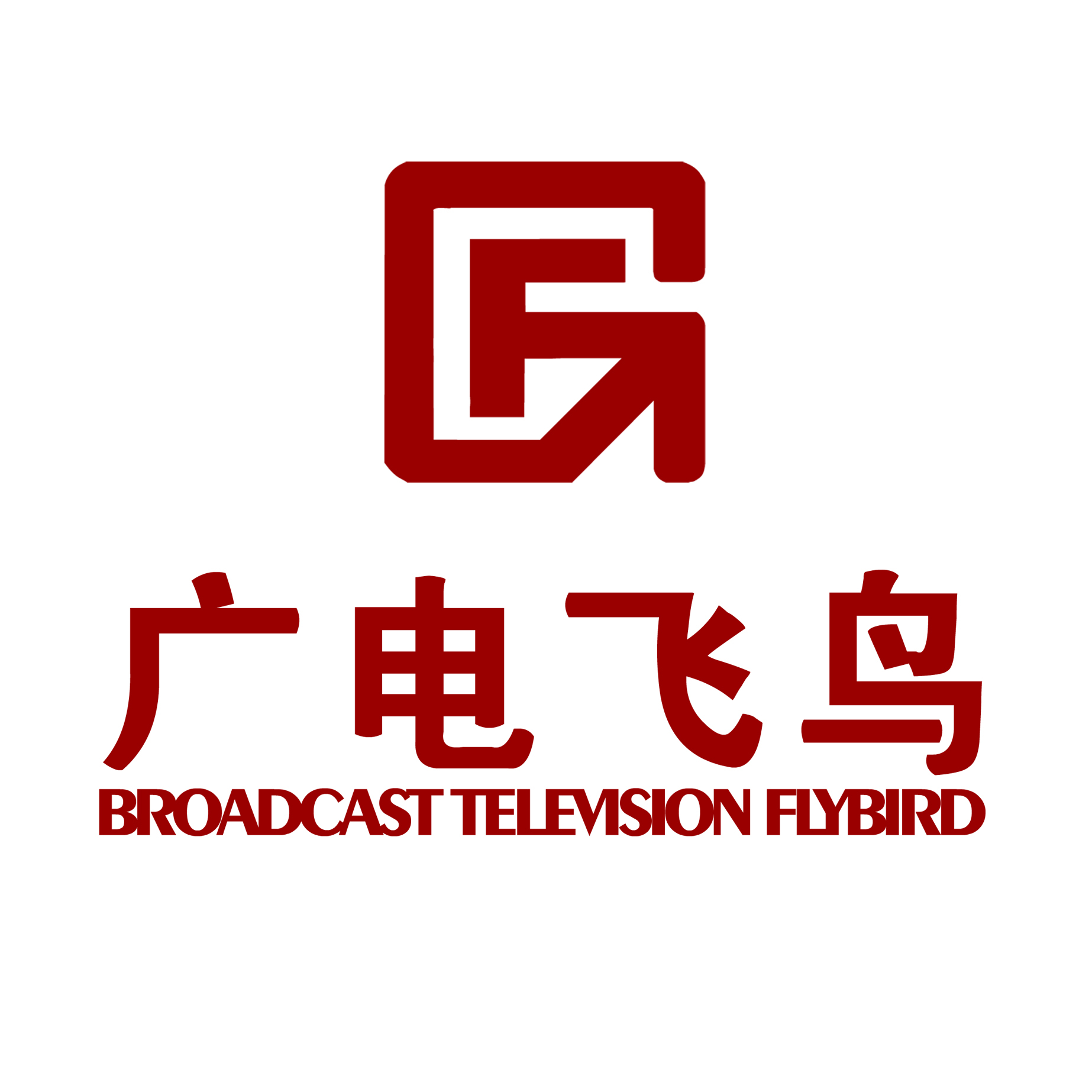 广飞传媒 