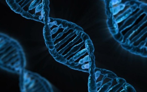 高中生物必修一复习·前半部分