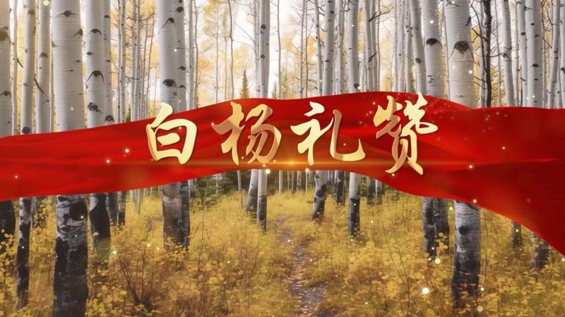 生命励志--白杨礼赞演讲朗诵配乐背景视频
