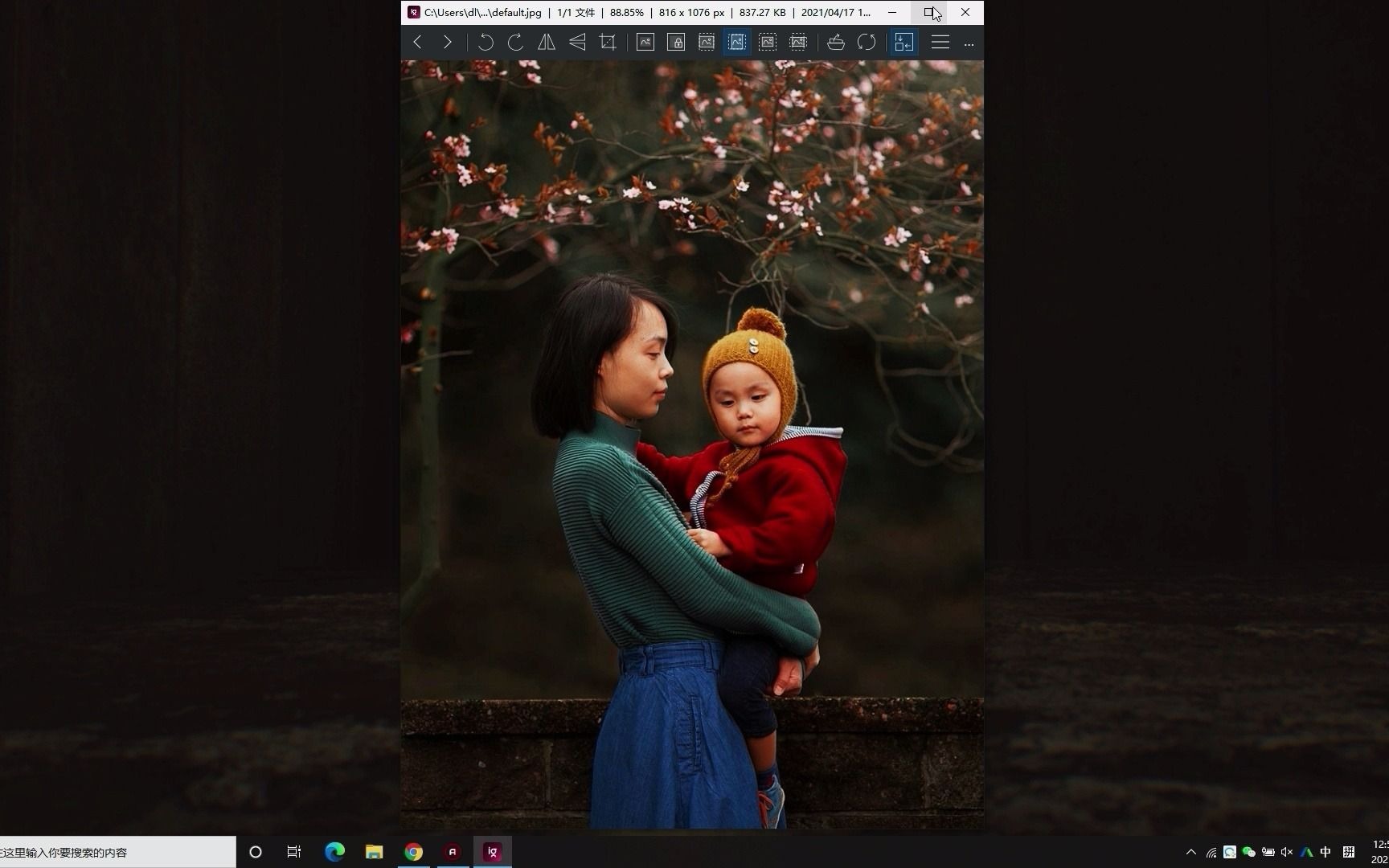 [软件分享] 好用的图片查看软件ImageGlass v8.1.4.18绿色便携版