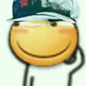 老元宝46795 