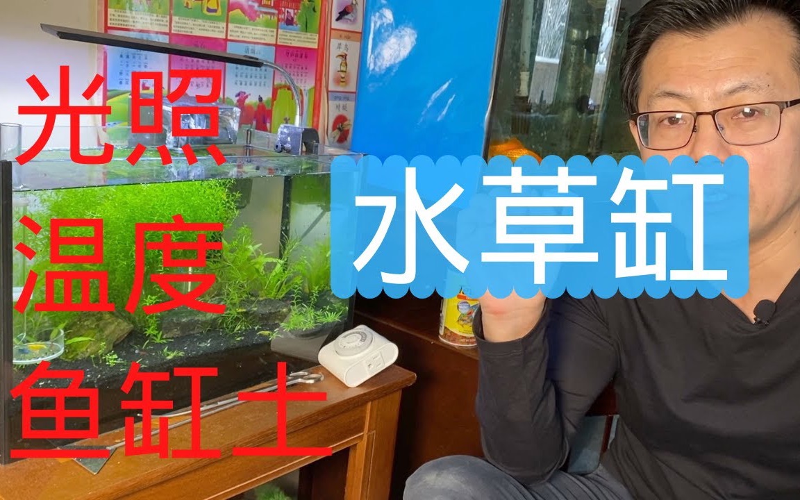 如何成功建水草缸:光照、鱼缸土、温度是关键