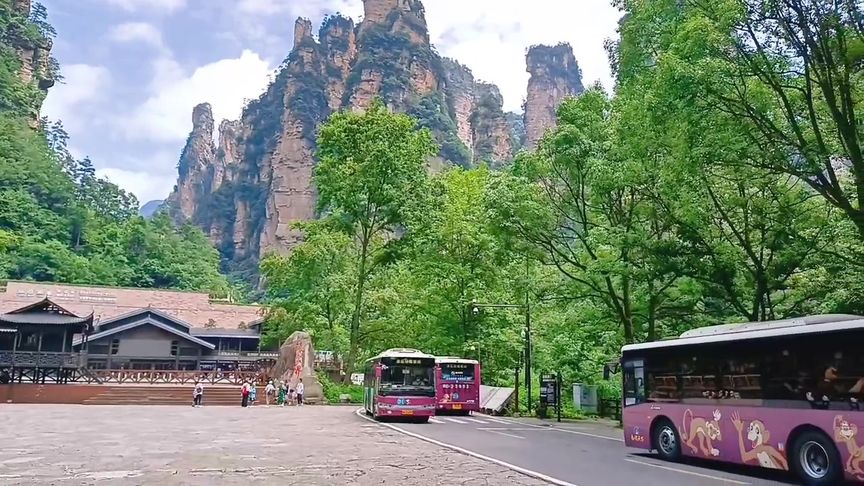 仙境张家界,潇洒山水间#一起享受大自然的美 #最美的风景在路上