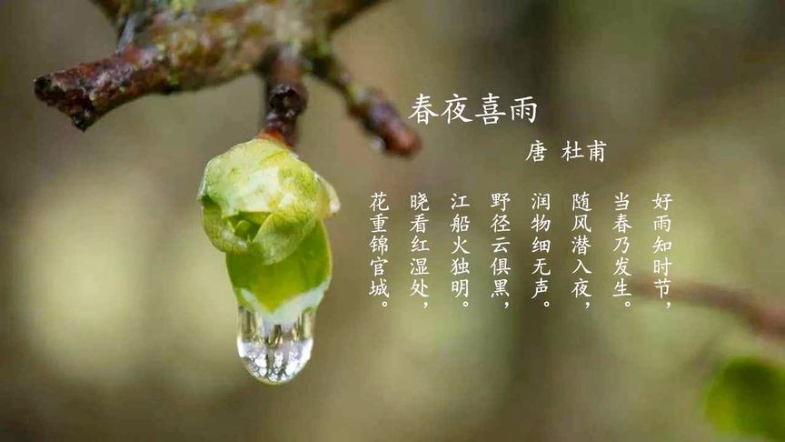 小学必背古诗《春夜喜雨》
