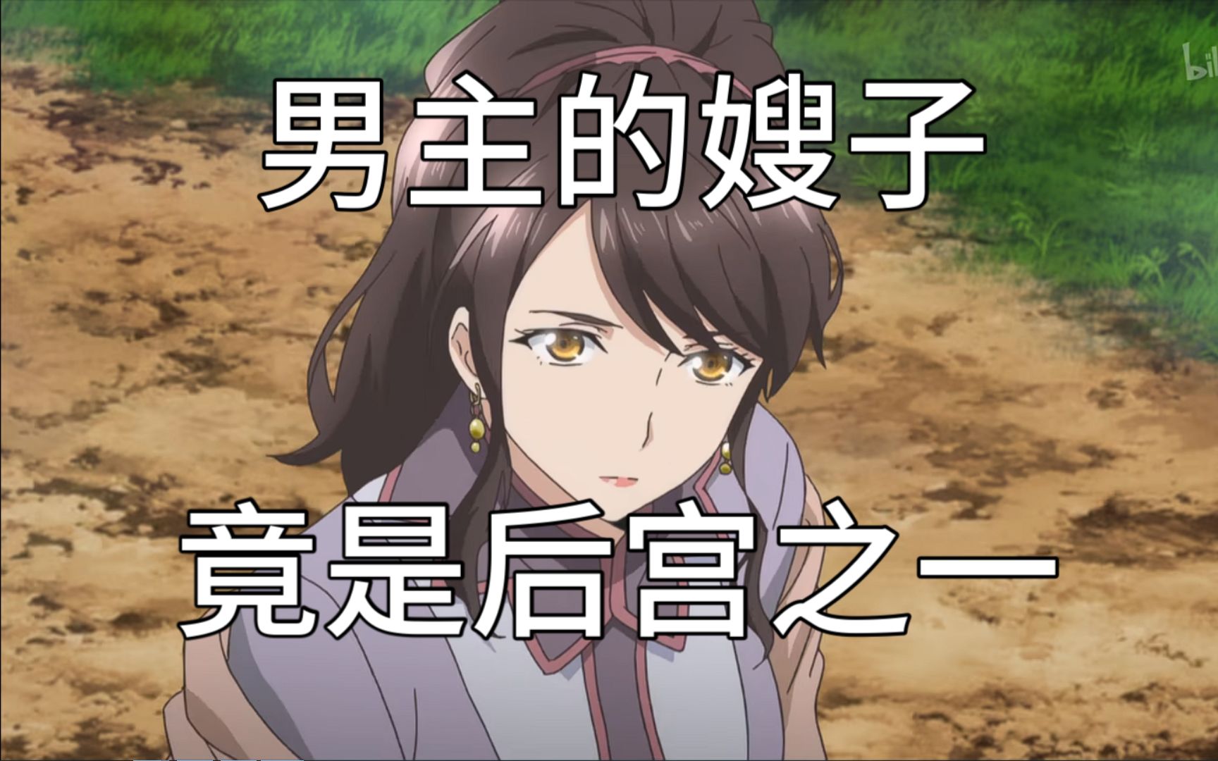 真后宫番推荐!男主竟然10个后宫