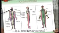 公司移动商学院 张秀勤刮痧变美-全息经络刮痧美容2 张秀勤刮痧手法 ...
