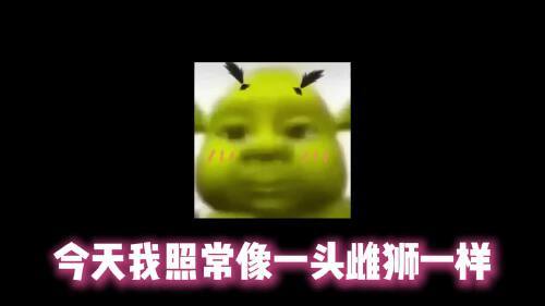 生活博弈实录:这些让人笑到肚子疼的日常斗智斗勇