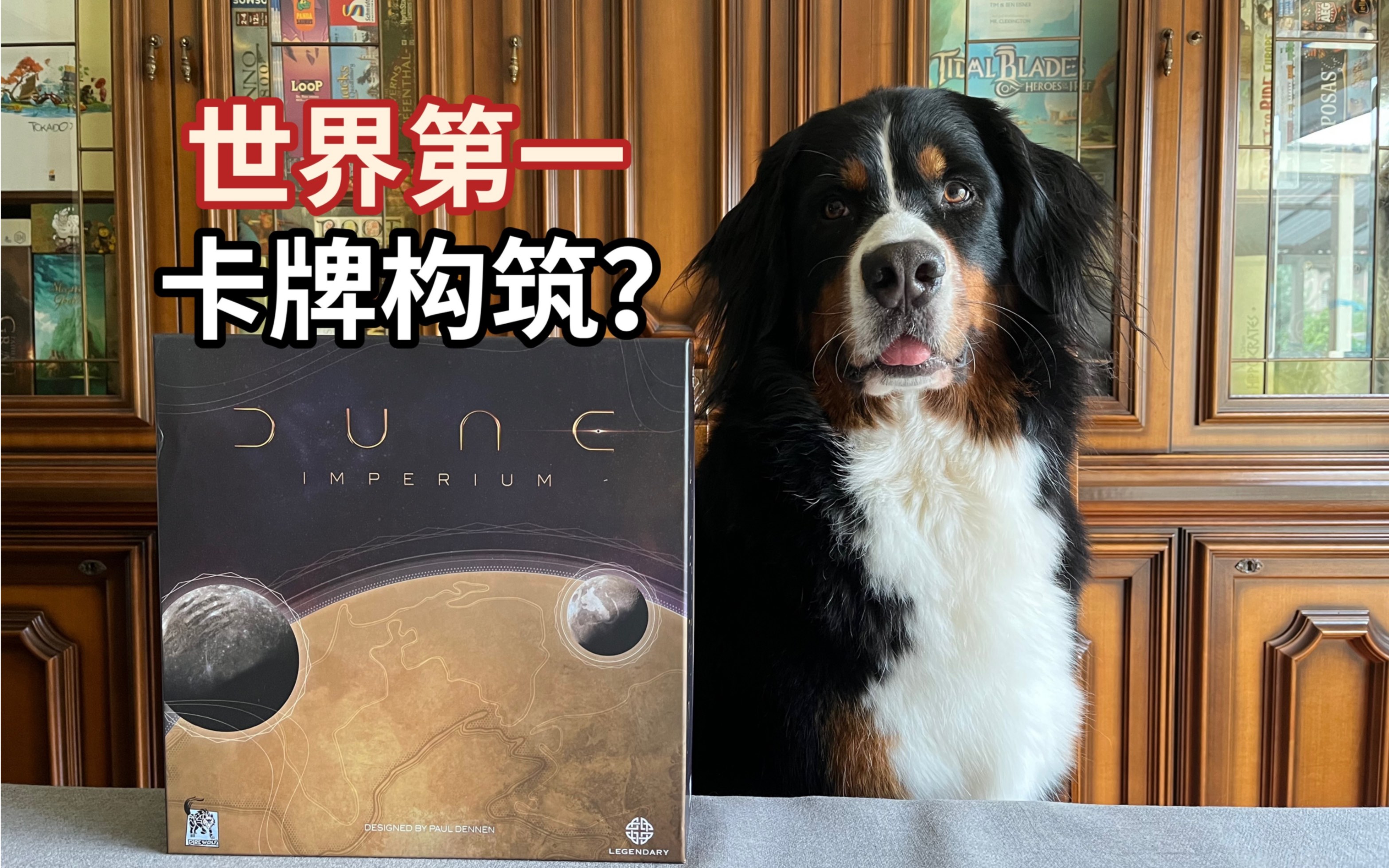 【规则教学】Dune: Imperium《沙丘帝国》世界第一DBG?