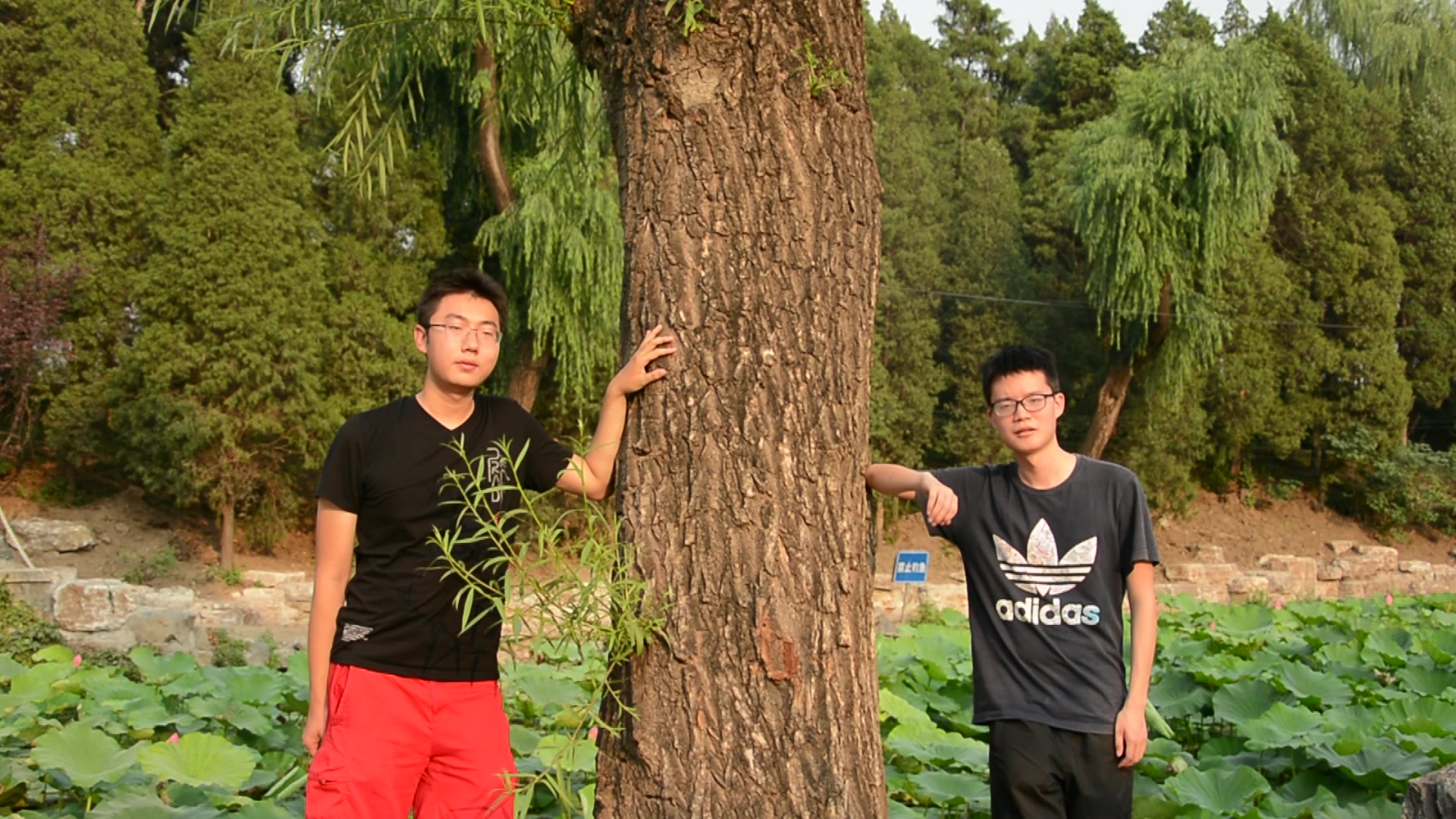 2017毕业季《清华版成都》寝室改编版MV