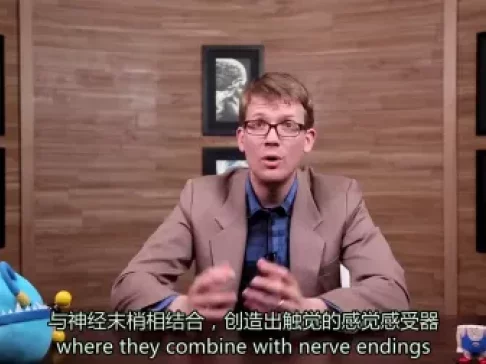 第6集 皮肤表层--解剖与生理速成课