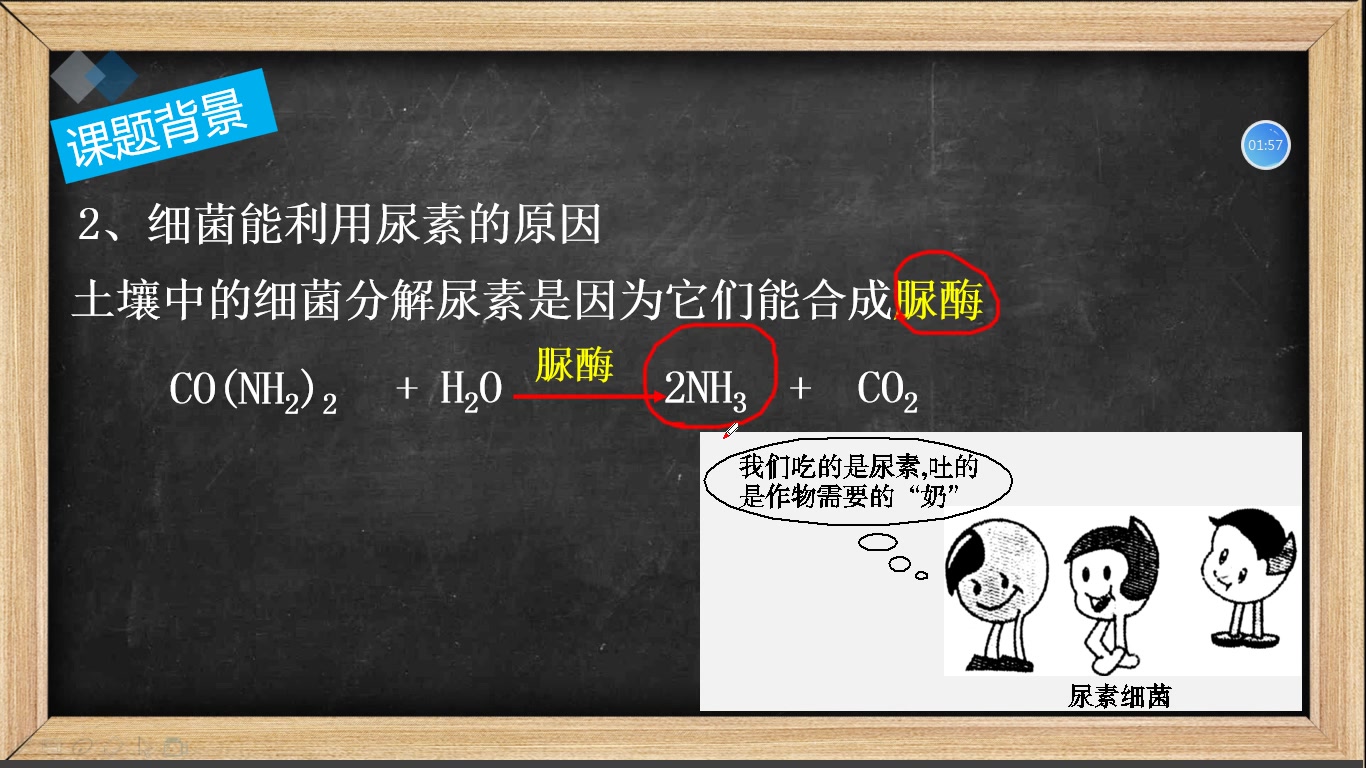 2-2土壤中分解尿素的细菌的分离与计数课时1