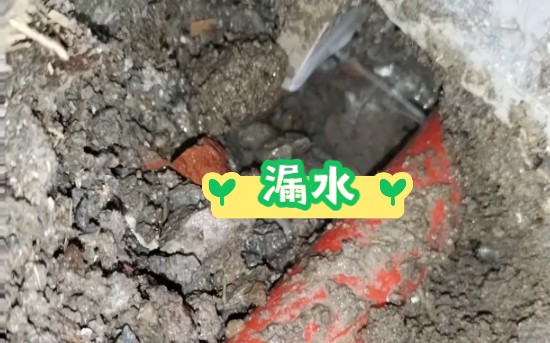 阳家宜测漏水查漏水不明漏水渗水墙体长毛等漏水 水暖维修 地热清洗...