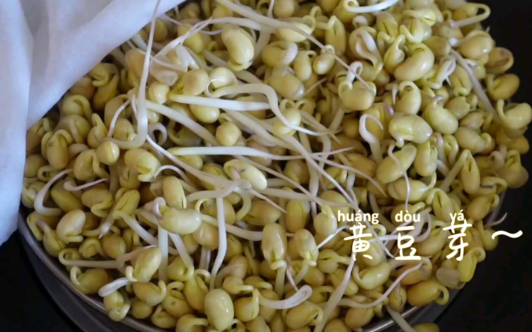 做到这一点,冬天发黄豆芽也不难,三天就可以吃～