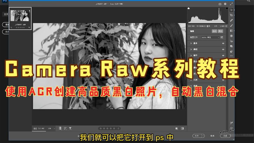 Camera Raw系列教程,使用ACR创建高品质黑白照片,自动黑白混合