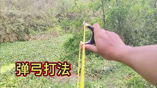 弹弓大神户外实战,这招瞄准技巧让你百发百中!